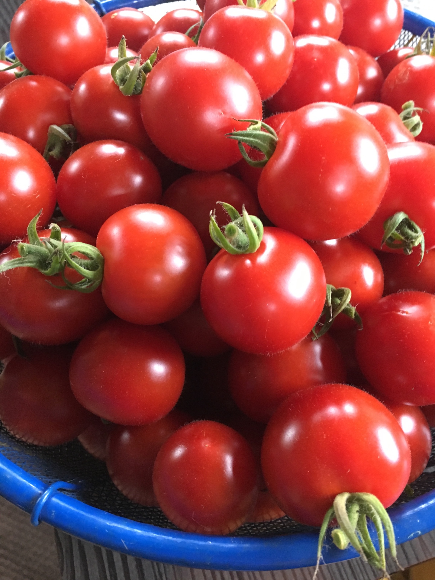 SLOTH+ FARM（北海道長沼町）－kuraché（クラシェ）特別開催「クラシェ×北海道のまち」2019出店者 | kuraché クラ ...